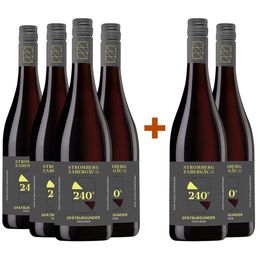 Weing&auml;rtner Stromberg-Zaberg&auml;u Weing&auml;rtner Stromberg-Zaberg&auml;u 4+2 Paket 240&deg; Entdeckung Sp&auml;tburgunder 2022 Trocken - W&uuml;rttemberg &ndash; Probierpaket Qualit&auml;tswein