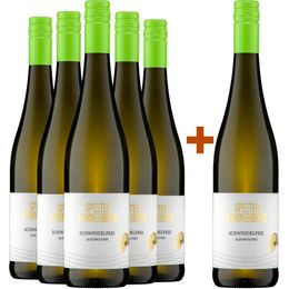 Weingut Sonnenberg Speeter 5+1 Paket Schwindelfrei - alkoholfrei Sauvignon Blanc Pfalz &ndash; Probierpaket Entalkoholisierter Wein