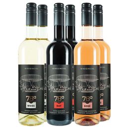 WINEGINEERS Gl&uuml;hwein Mix Paket BIO - Rheinhessen &ndash; Probierpaket Deutscher