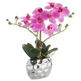 Kunstpflanze OTTO HOME "Orchidee, inklusive &Uuml;bertopf aus Keramik in schwarz oder silberfarben", lila (lila, silberfarben), B:13cm H:38cm T:6,5cm, Keramik, Kunststoff, Polyester, Kunstpflanzen, Kunstpflanze, Kunstorchidee, BESTSELLER, 38 oder 55cm hoch