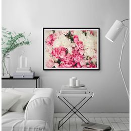 Bild queence "Ruth", rosa (farbe rahmen: schwarz, farbe bild(er): rosa), B:70cm H:50cm, Acrylglas, Holz, Papier, Bilder, Bild, HD Premium Poster-Druck inkl. Holzrahmen