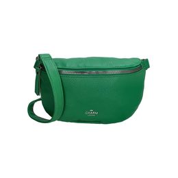 Charm G&uuml;rteltasche in Gr&uuml;n - (B)23,5 x (H)15 x (T)6,6 cm - 63% | Damen-koffer-reisegepaeck