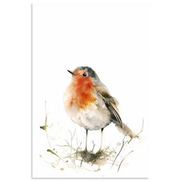Artland Wandbild &raquo;Aquarell Rotkehlchen&laquo; Vogelbilder 1 Stk. tlg. als Alubild, Leinwandbild, Poster, Wandaufkleber in verschied. Gr&ouml;&szlig;en Alu Dibond