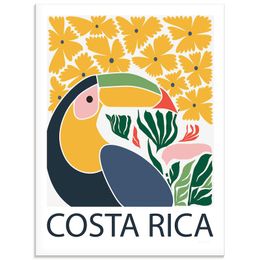 Artland Glasbild &raquo;Costa Rica&laquo; Vogelbilder 1 Stk. tlg. in verschiedenen Gr&ouml;&szlig;en Glas