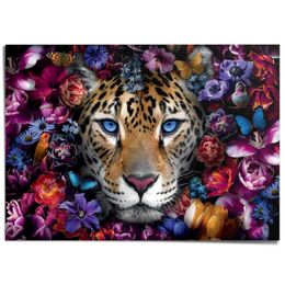 Reinders Poster &raquo;Power Cat&laquo; Wohnzimmer - Blumen - Schmetterlinge - Farbenfroh - Mehrfarbig, Papier bunt