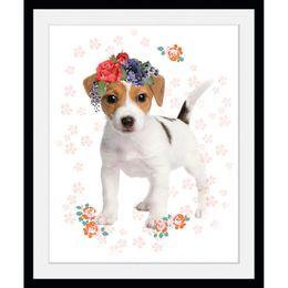 queence Bild &raquo;Blumenhund&laquo; Blumen Haustiere Hunde Hundebilder 1 Stk. tlg. HD Premium Poster-Druck inkl. Holzrahmen bunt Acrylglas, Holz, Papier
