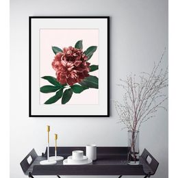 queence Bild &raquo;Corinna&laquo; Blumen Foto Pflanzen Pflanzenbilder 1 Stk. tlg. HD Premium Poster-Druck inkl. Holzrahmen rot Acrylglas, Holz, Papier