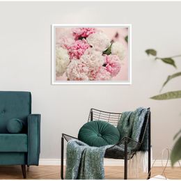 queence Bild &raquo;Martin&laquo; Blumen Foto Pflanzen Pflanzenbilder gerahmt, Rosen rosa Acrylglas, Holz, Papier