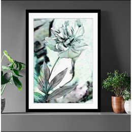 queence Bild &raquo;Christa&laquo; Blumen Foto Pflanzen Pflanzenbilder Rose, gerahmt grau Acrylglas, Holz, Papier