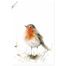 Artland Wandbild &raquo;Aquarell Rotkehlchen&laquo; Vogelbilder 1 Stk. tlg. als Alubild, Leinwandbild, Poster, Wandaufkleber in verschied. Gr&ouml;&szlig;en Papier