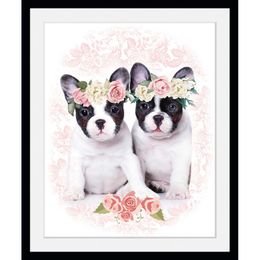 queence Bild &raquo;Zwillinge&laquo; Blumen Haustiere Hunde Hundebilder 1 Stk. tlg. HD Premium Poster-Druck inkl. Holzrahmen bunt Acrylglas, Holz, Papier
