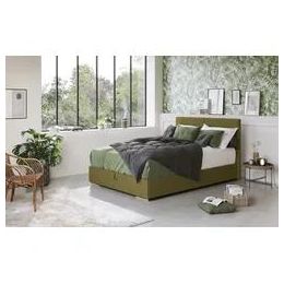 Boxbett COTTA "Tom mit Bettkasten, Topper und Zierkissen", gr&uuml;n (olive), B:125cm L:209cm, Komplettbetten, Bett Betten mit Bettkasten, Bestseller, Unser Dauertiefpreis