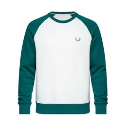 Ombre Sweatshirt male Green size M