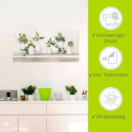 Wandbild Artland, B:100cm H:50cmfarbe bild(er): gr&uuml;n, Vinyl, Wohnzimmer, Bilder, "Plant Life", als Alubild, Leinwandbild, Poster, Wandaufkleber in