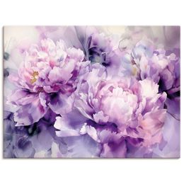Wandbild Artland, B:40cm H:30cmfarbe bild(er): lila, Leinwand, Wohnzimmer, Bilder, "Lila Farbene Pfingstrosen Aquarell", als Alubild, Leinwandbild,