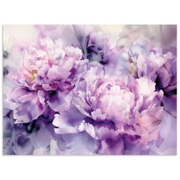 Wandbild Artland, B:80cm H:60cmfarbe bild(er): lila, Alu Dibond, Wohnzimmer, Bilder, "Lila Farbene Pfingstrosen Aquarell", als Alubild, Leinwandbild,