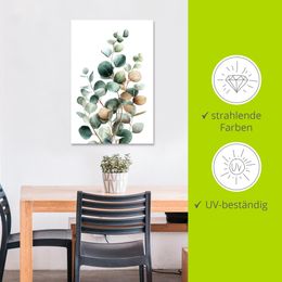 Wandbild Artland, B:40cm H:60cmfarbe bild(er): gr&uuml;n, Alu Dibond, Wohnzimmer, Bilder, "Eukalyptus", als Alubild, Leinwandbild, Poster, Wandaufkleber