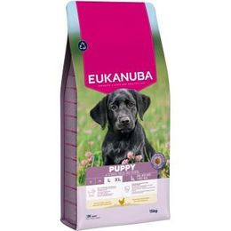 eukanuba Trockenfutter Hund, Welpe, gro&szlig;, Huhn 15 kg