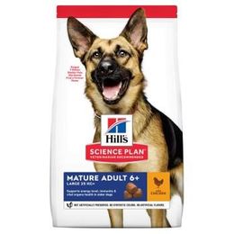 Hill's Hill's Science Plan Trockenfutter Hund, Mature Adult 6+, Large Breed, mit Huhn 14 kg