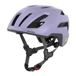 Alpina Taunus Gravel Mips 55-59