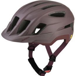 Alpina Paranus Mips 55-59