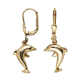 Paar Ohrh&auml;nger Jobo "Delfin", gold (gelbgold 333), Ohrringe, Damen, Gelbgold 333, 333 Gold