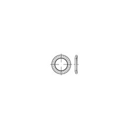 Schnorr Scheiben 1.4301 S 8 A 2 S (422700)
