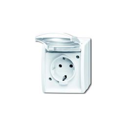 BUSCH-JAEGER SCHUKO-Steckdose 20 EWN-54 (2CKA002083A0831)