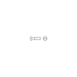 DIN 84/ISO 1207 Zylinderkopfschraube M6x25 Polyamid blank Schlitz ; Industrial Quality Supplies (000846000060025)