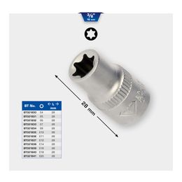 Brilliant Tools 3/8 Zoll TX-E-Stecknuss, E16 (BT021839)