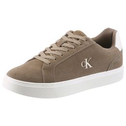 Sneaker Calvin Klein Jeans "CLASSIC CUPSOLE LACEUP SU", Herren, Gr. 44, taupe, Veloursleder, unifarben mit Farbeinsatz, Schuhe Sneaker, Schn&uuml;rschuh, Halbschuh, Freizeitsneaker mit seitlichem CK-Logo