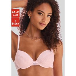 Push-up-BH Petite Fleur, Damen, Gr. 70, Cup A, ros&eacute;, wei&szlig;, schwarz, Spitze, Obermaterial: 60% Polyamid, 35% Polyester, 5% Elasthan, BHs Push-up-BH, B&uuml;gel, mit Spitze
