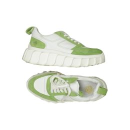 Apple of Eden Sneaker Damen Gr&ouml;&szlig;e 37 bunt