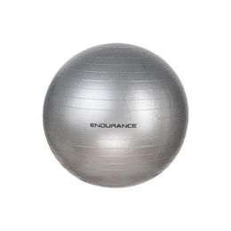 Endurance Ball Herren Gr&ouml;&szlig;e One Size schwarz / silber