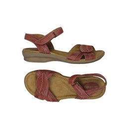 Clarks Sandalen Damen Gr&ouml;&szlig;e 37 rot