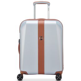 Delsey Paris Trolley Herren Gr&ouml;&szlig;e One Size braun / silber