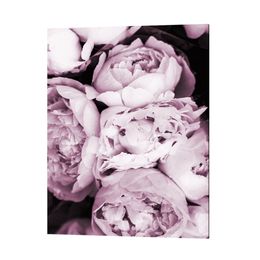 Liv Corday Bild 'Peony Flower Arranget' Herren Gr&ouml;&szlig;e 60x80 anthrazit / pink / hellpink / wei&szlig;