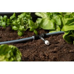 Bew&auml;sserungssystem BioHort "zu Hochbeet, Pflanzbeet Belvedere, Gew&auml;chshaus Florentina", schwarz, grau, B:1.500mm H:100mm L:50mm, Kunststoff, Bew&auml;sserungs-Sets, Effiziente Tropfbew&auml;sserung f&uuml;r gesundes Pflanzenwachstum