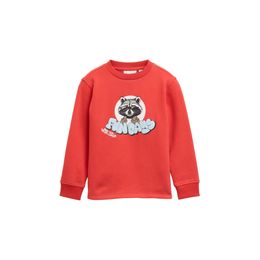 Tom Tailor Sweater Jungen Gr&ouml;&szlig;e 104/110 mischfarben / blutrot