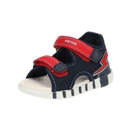 Geox Offene Schuhe Jungen Gr&ouml;&szlig;e 22 navy / rot