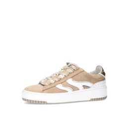 Sacha London SACHA Sneaker Damen Gr&ouml;&szlig;e 37 camel / wei&szlig;