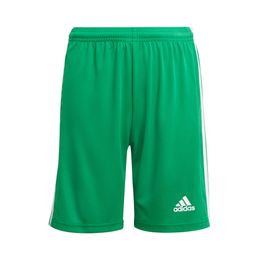 adidas Performance Sporthose 'Squadra 21' Jungen Gr&ouml;&szlig;e 176 gr&uuml;n / wei&szlig;