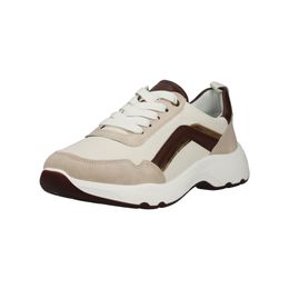 Ara Sneaker Damen Gr&ouml;&szlig;e 38 creme / nude / bordeaux