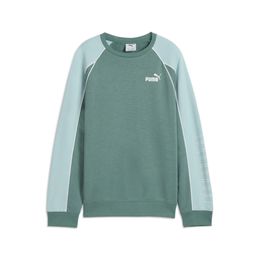 Puma Sweatshirt M&auml;dchen Gr&ouml;&szlig;e 128 mint / jade / wei&szlig;