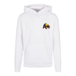 F4NT4STIC Sweatshirt 'Rainbow Turtle' Herren Gr&ouml;&szlig;e XXL mischfarben / wei&szlig;