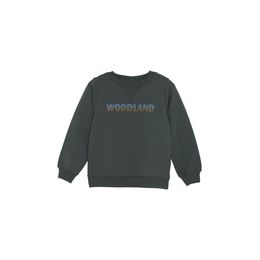 EN FANT Sweatshirt Jungen Gr&ouml;&szlig;e 92 blau / gelb / dunkelgr&uuml;n