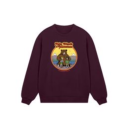 F4NT4STIC Sweatshirt 'US National Parks Make Friends At Yellowstone' Herren Gr&ouml;&szlig;e XXL mischfarben / karminrot