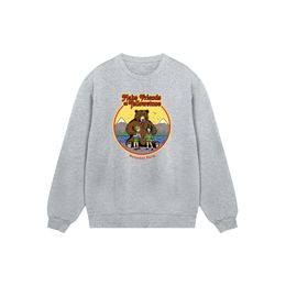 F4NT4STIC Sweatshirt 'US National Parks Make Friends At Yellowstone' Herren Gr&ouml;&szlig;e L braun / gelb / grau / rot