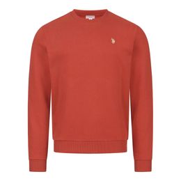 U.S. Polo Assn. Pullover Herren Gr&ouml;&szlig;e XL braun