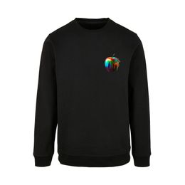 F4NT4STIC Sweatshirt 'Colorfood Collection - Rainbow Apple' Herren Gr&ouml;&szlig;e XS mischfarben / schwarz